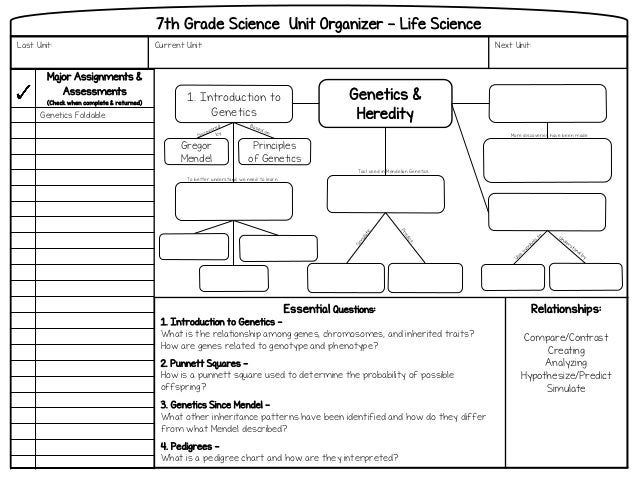 Genetics Worksheets 7th Grade