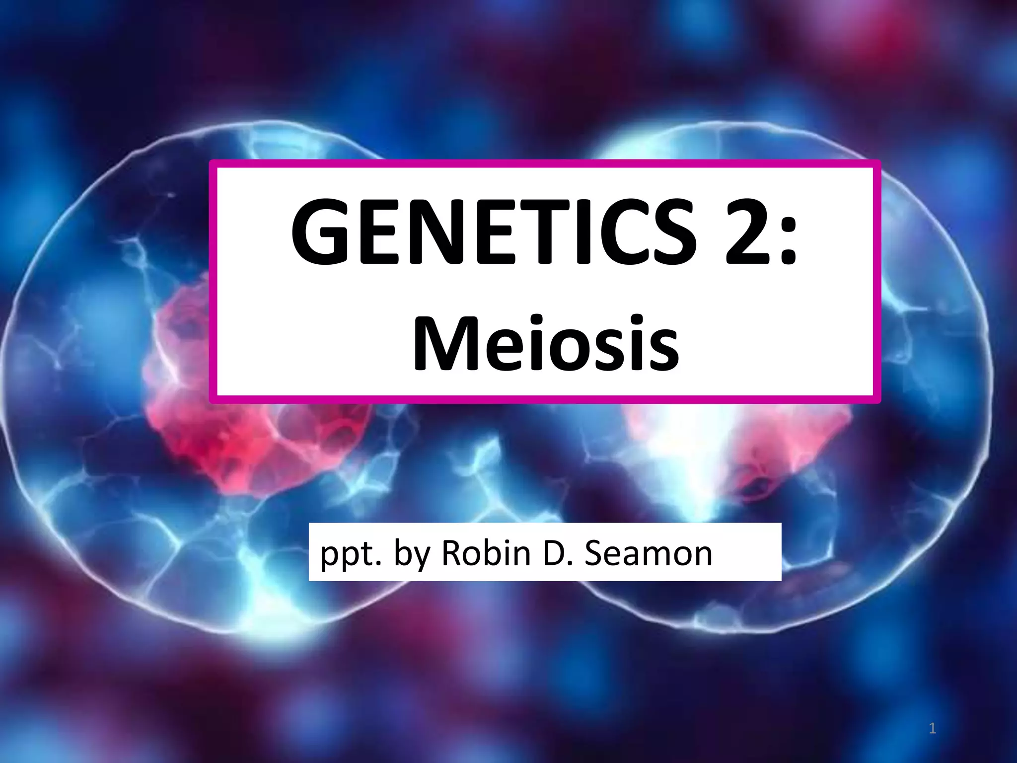 Genetics 2 Meiosis | PPT