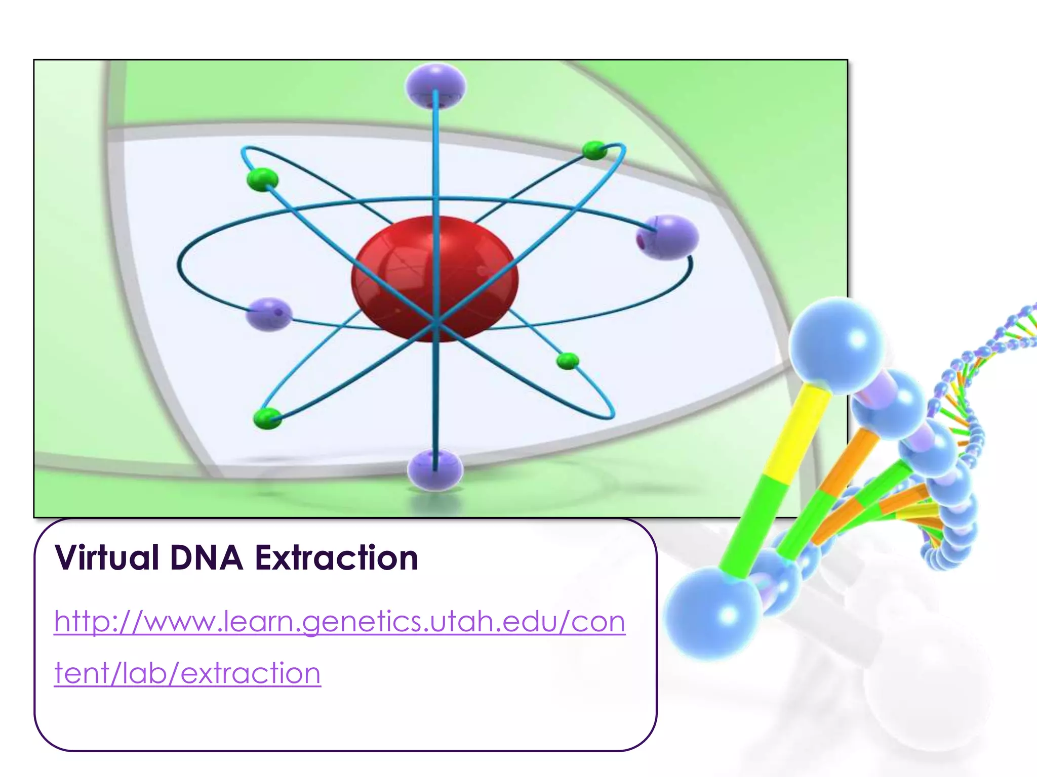 Genetics 2 tuesday presentation | PPTX