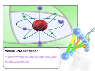 Genetics 2 tuesday presentation | PPT