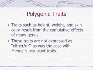 Genetics 3 other traits ib | PPT | Genetics | Science