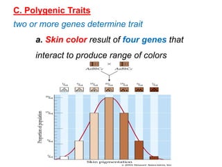 genetics 3 school final grade 10 american school | PDF