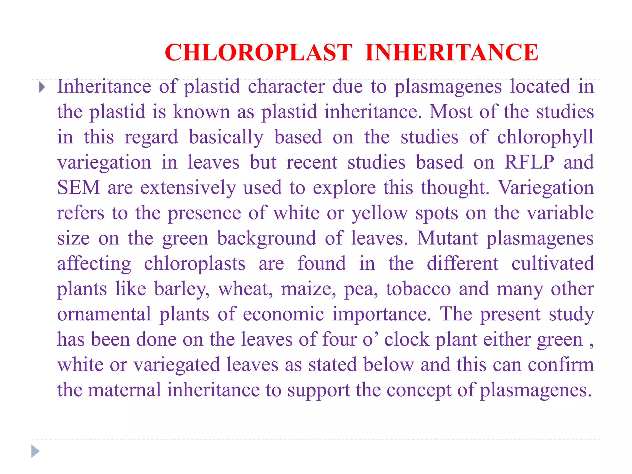 Genetics-Cytoplasmic Inheritance | PDF