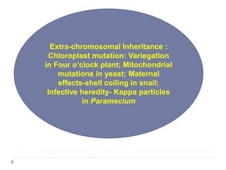 Genetics-Cytoplasmic Inheritance | PDF