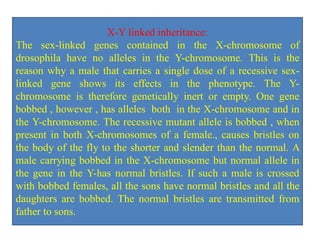 Sex Linkage-Unique Heritage | PDF