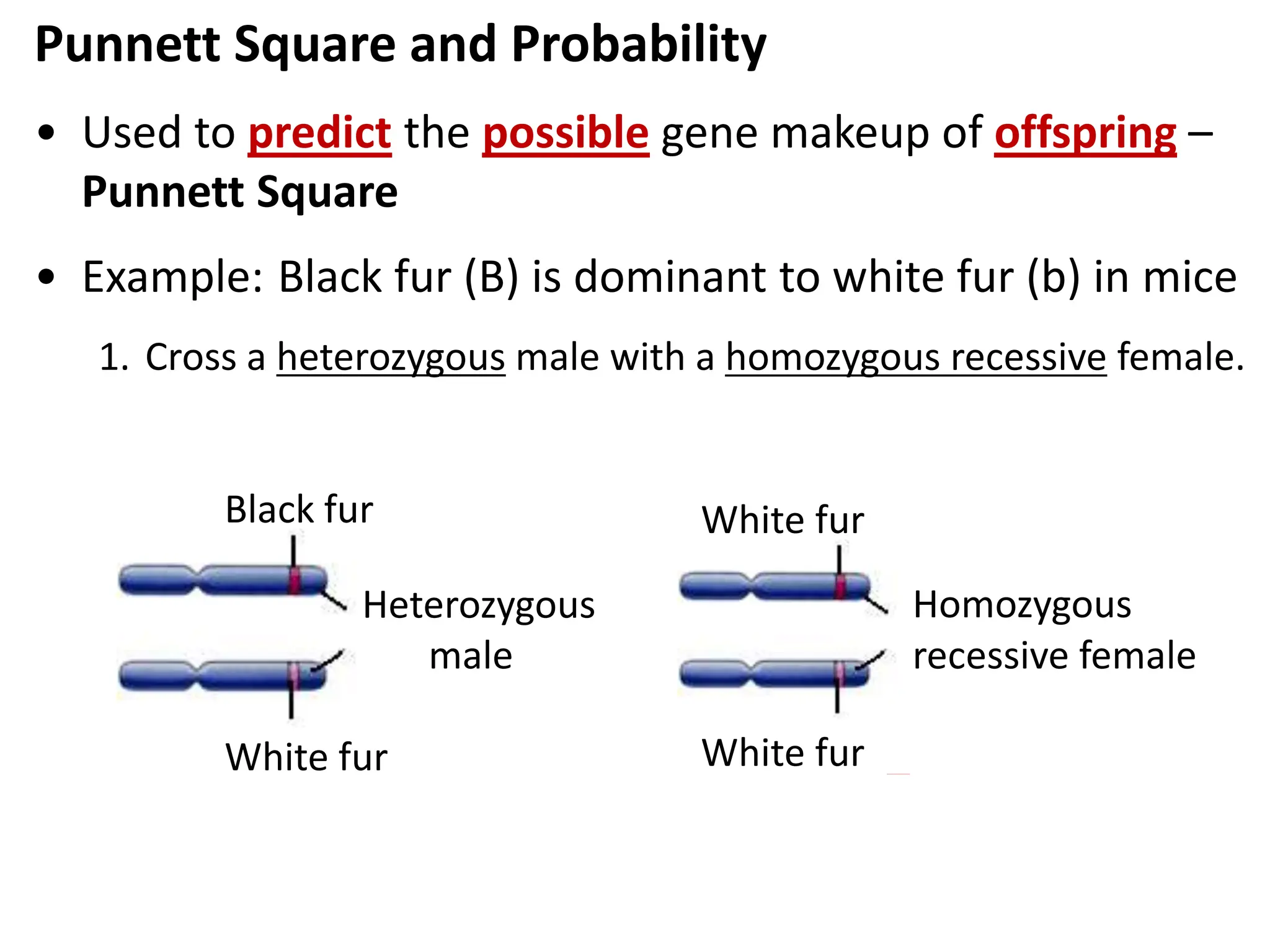 GENETICS 9 science 9 grade 9 curriculum.pptx