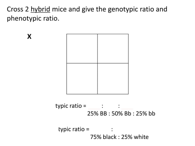 GENETICS 9 science 9 grade 9 curriculum.pptx | Genetics | Science