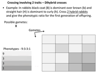 GENETICS 9 science 9 grade 9 curriculum.pptx