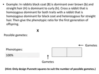 GENETICS 9 science 9 grade 9 curriculum.pptx