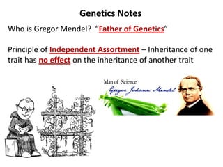 GENETICS 9 science 9 grade 9 curriculum.pptx