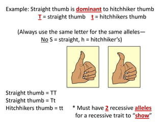 GENETICS 9 science 9 grade 9 curriculum.pptx