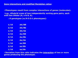 Genetics after Sir Mendel and mendelismppt | PPT