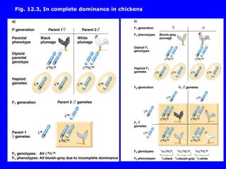 Genetics after Sir Mendel and mendelismppt | PPT