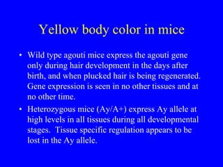 Genetics after Sir Mendel and mendelismppt | PPT