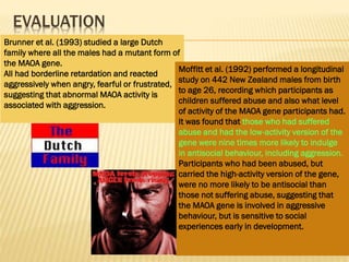 Genetics and aggression A2 | PPTX