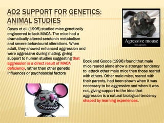 Genetics and aggression A2 | PPTX