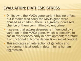 Genetics and aggression A2 | PPTX