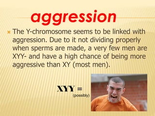 Genetics and aggression A2 | PPTX