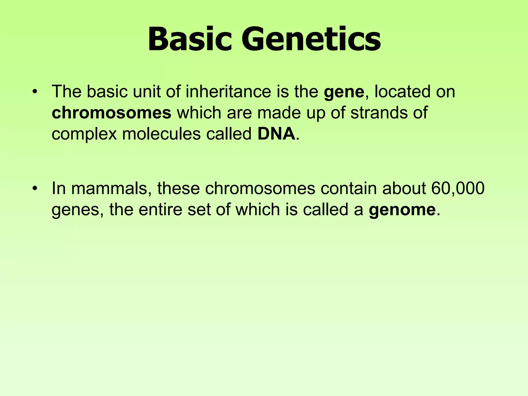 GeneticsandBreeding.pptx