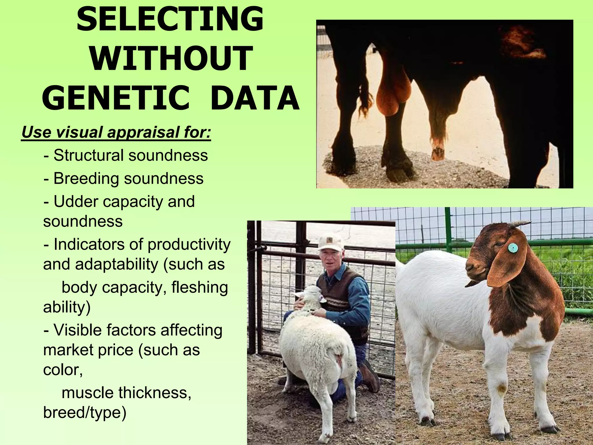 GeneticsandBreeding.pptx