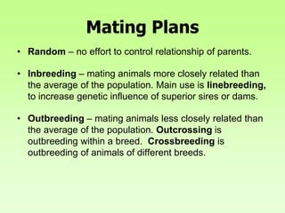 GeneticsandBreeding.pptx