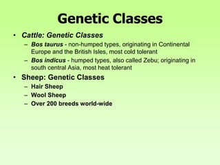 GeneticsandBreeding.pptx
