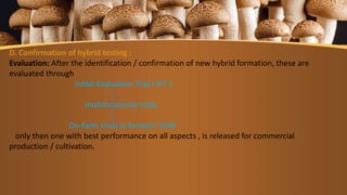 Genetics and breeding of cultivated mushroom | PPTX