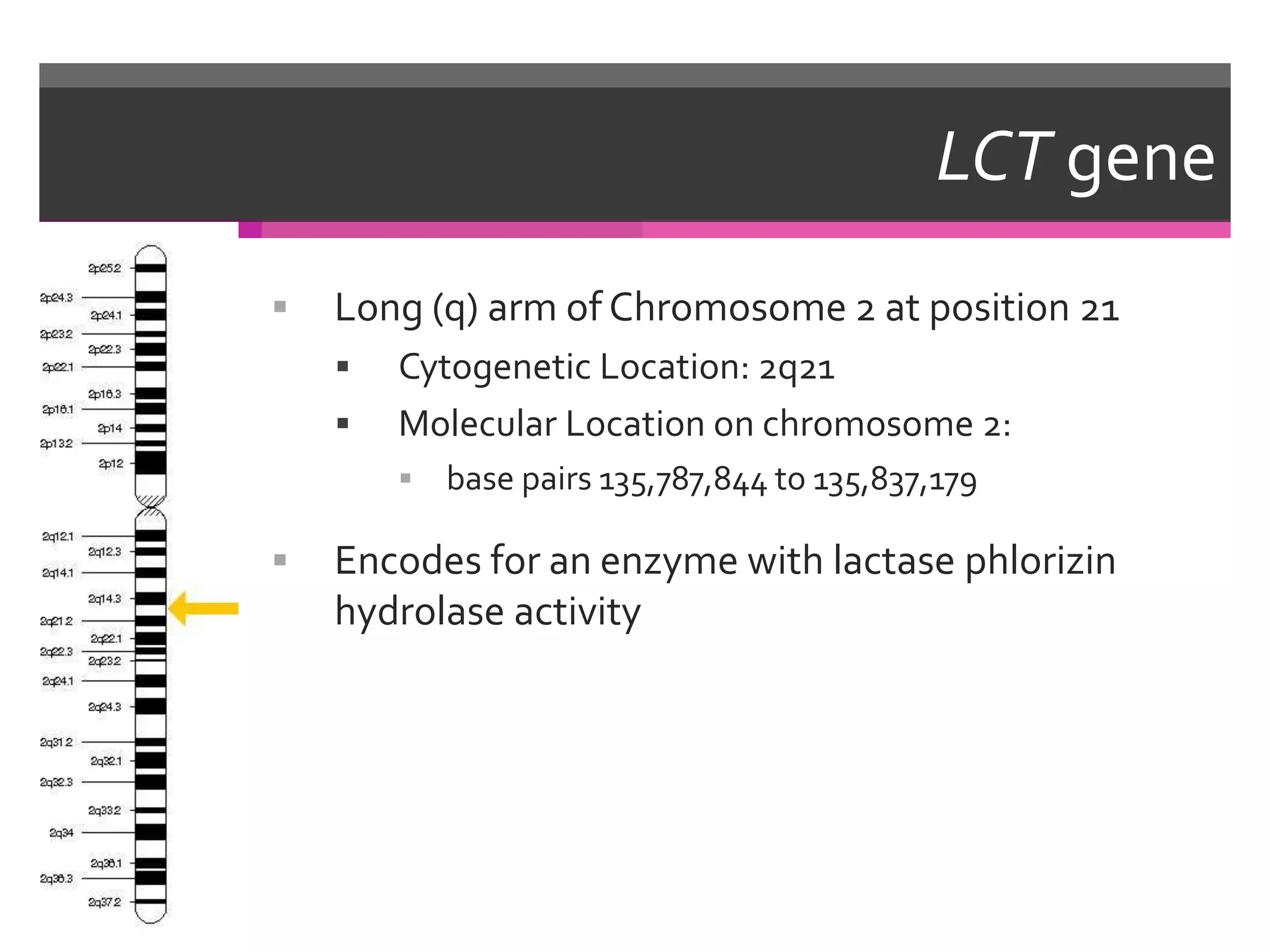 Genetics and Evolution of lactose (in)tolerance | PPTX