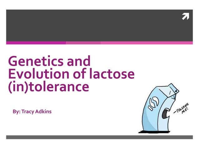 Genetics and Evolution of lactose (in)tolerance | PPT