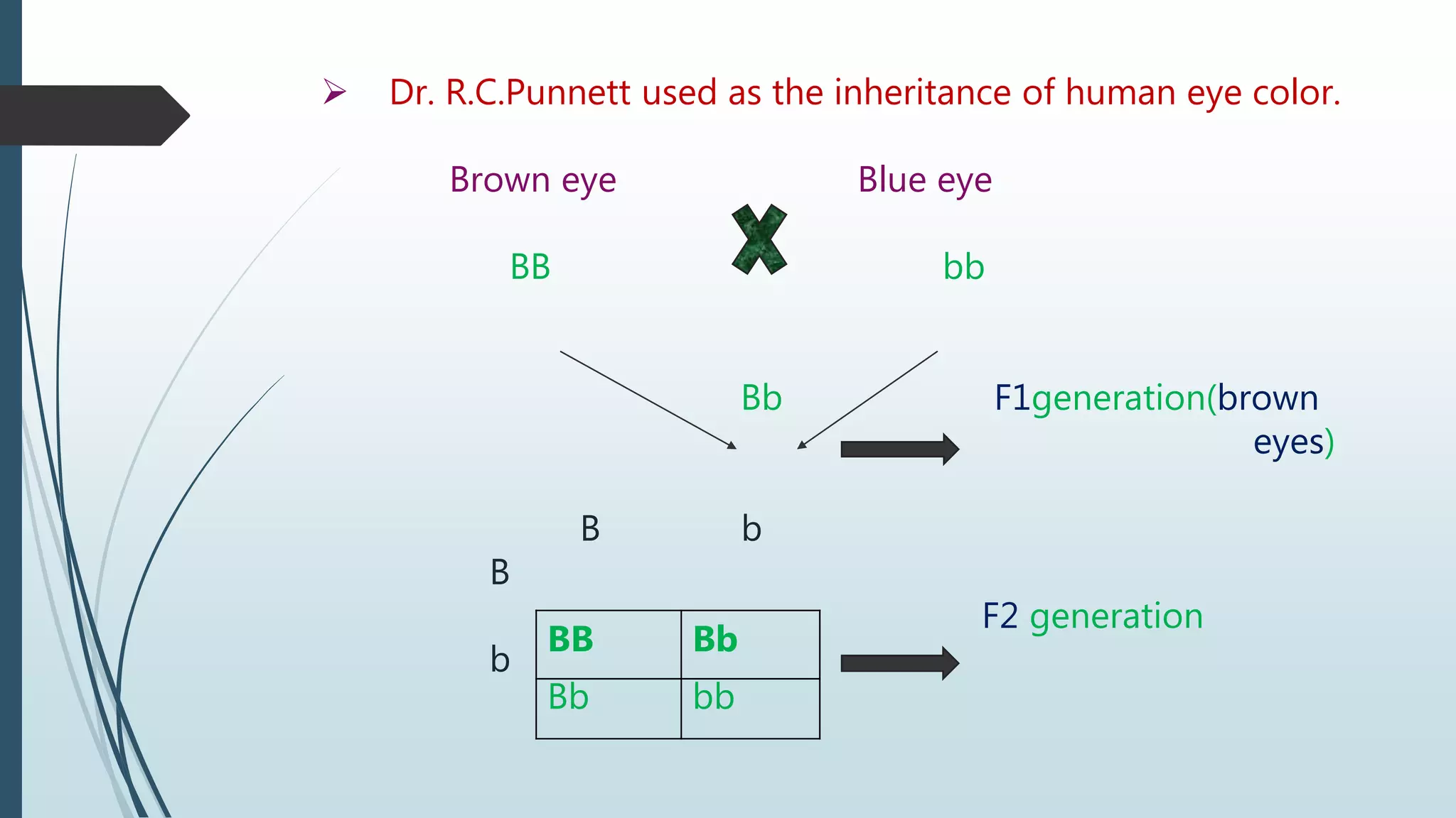 Genetics and evolution | PPTX