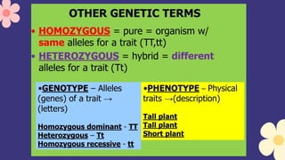 Genetics and Genes Science Presentation.pptx