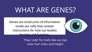 Genetics and Genes Science Presentation.pptx