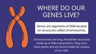 Genetics and Genes Science Presentation.pptx | Genetics | Science