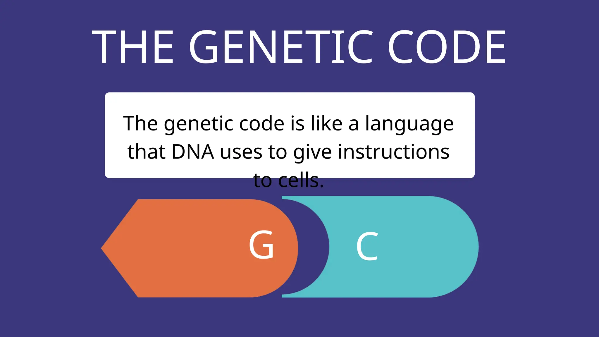 Genetics and Genes Science Presentation in Blue Orange Flat Graphic Style.pptx