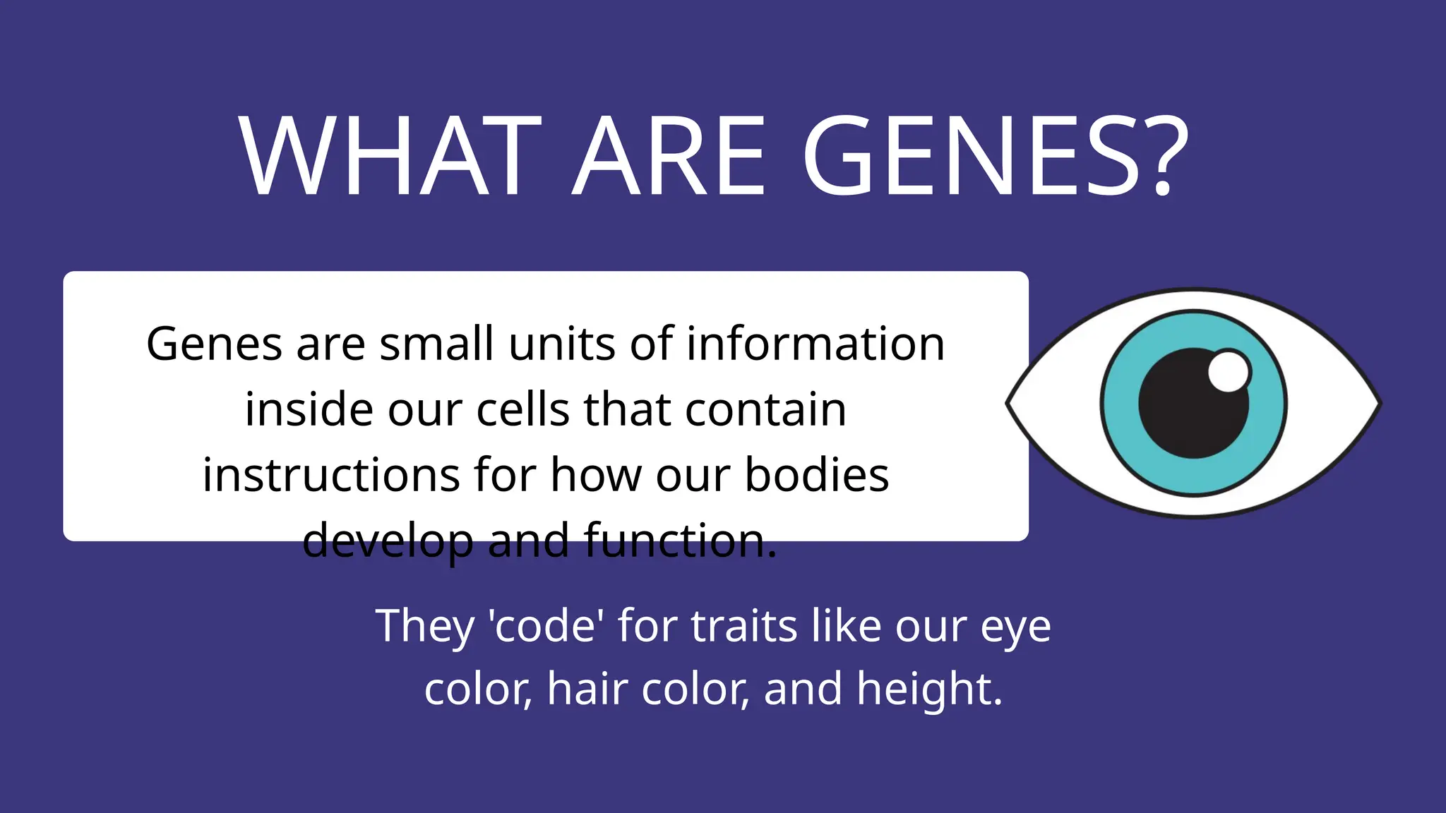Genetics and Genes Science Presentation in Blue Orange Flat Graphic ...