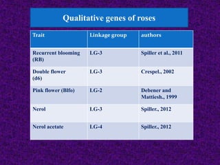 Genetics and genomics of flower initiation and development in roses | PPTX
