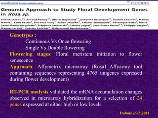 Genetics and genomics of flower initiation and development in roses | PPTX