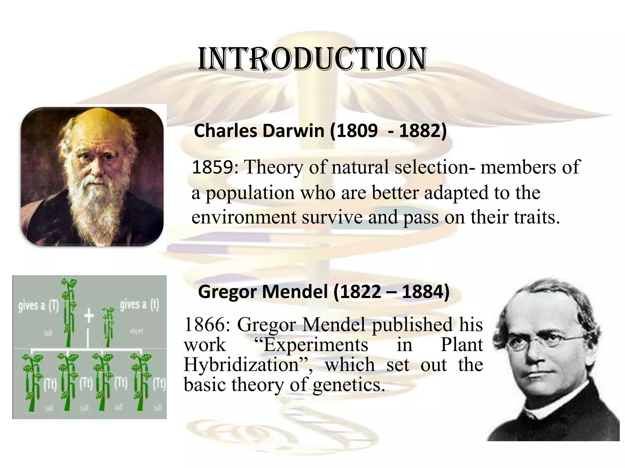 Genetics and health | PPTX