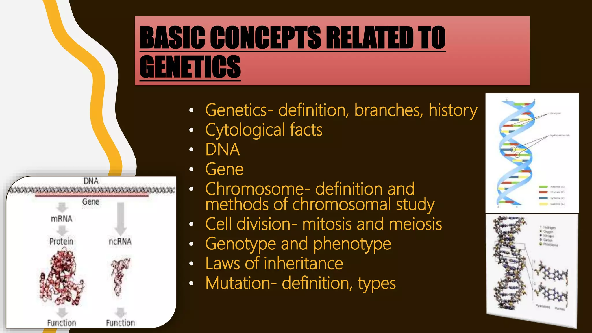 Genetics and health | PPTX