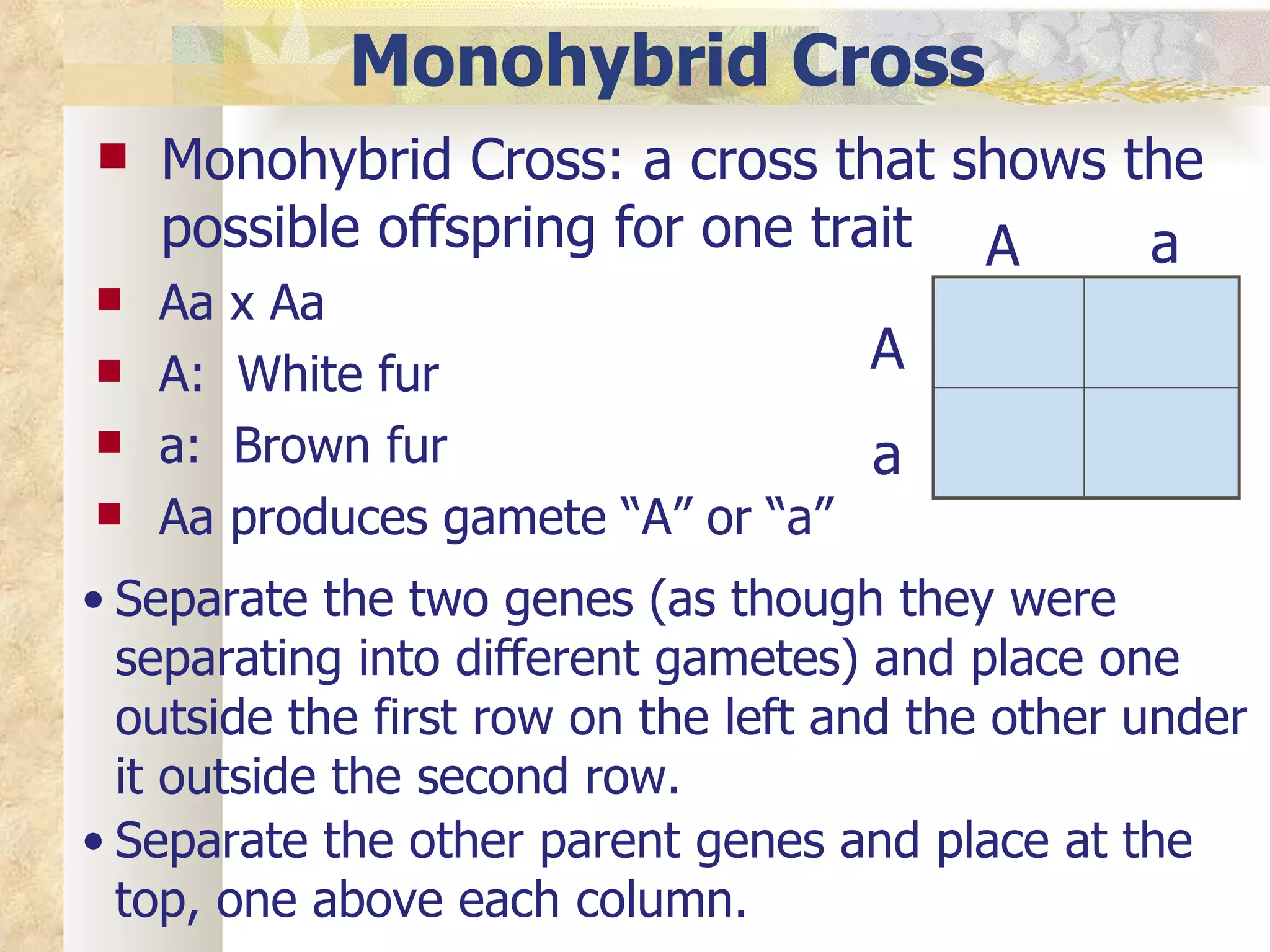 Genetics and heredity | PPT