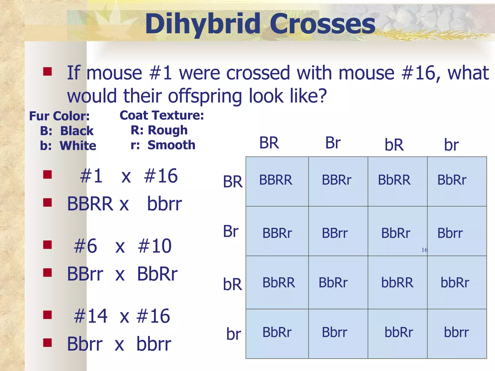 Genetics and heredity | PPT