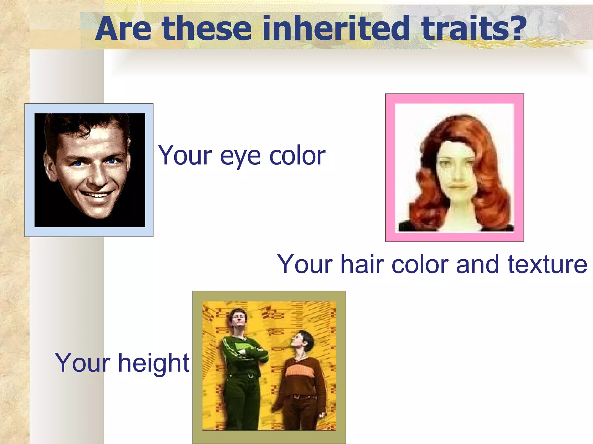 Genetics and heredity | PPT