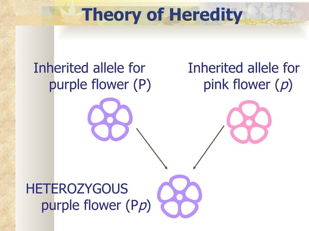 Genetics and heredity | PPT