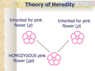 Genetics and heredity | PPT