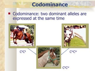 Genetics and heredity | PPT