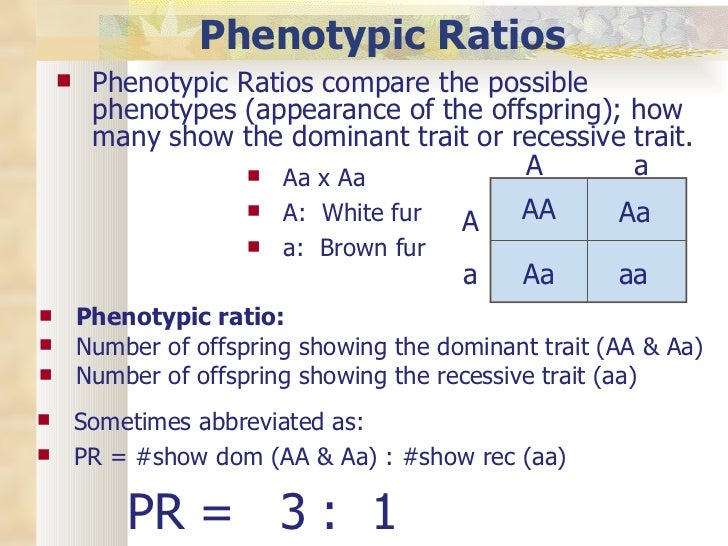 Genetics And Heredity Genetics And Heredity