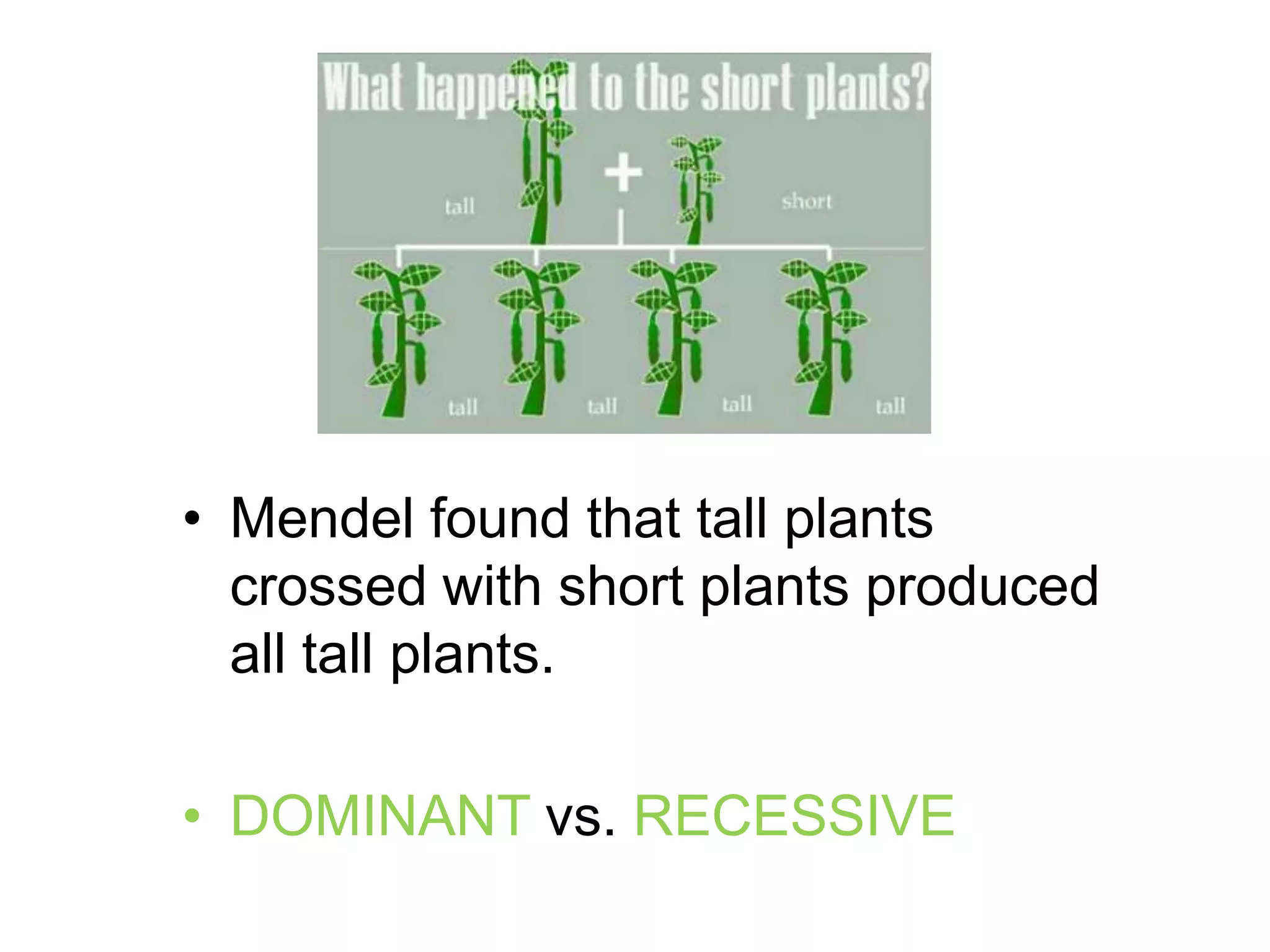 Genetics and Heredity | PPTX