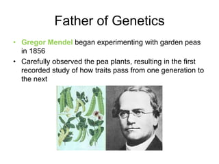 Genetics and Heredity | PPTX