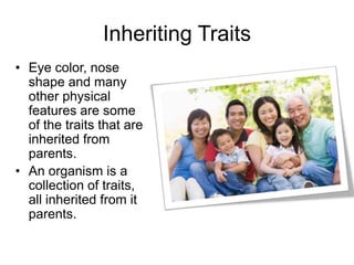 Heredity Pictures For Kids