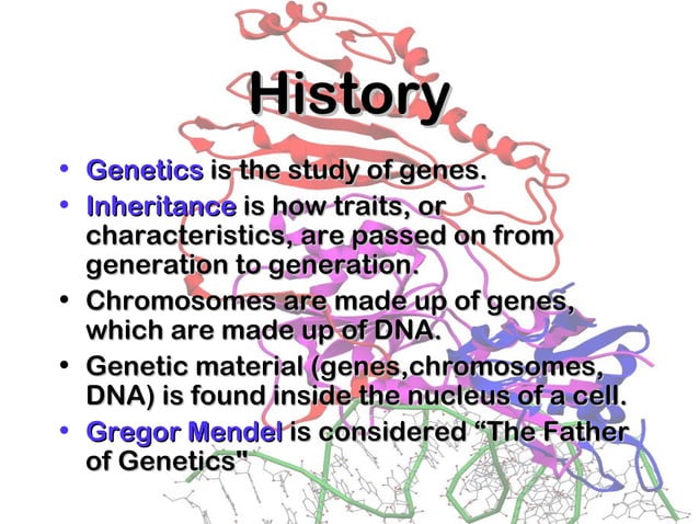 Genetic basis of inheritance | PPT
